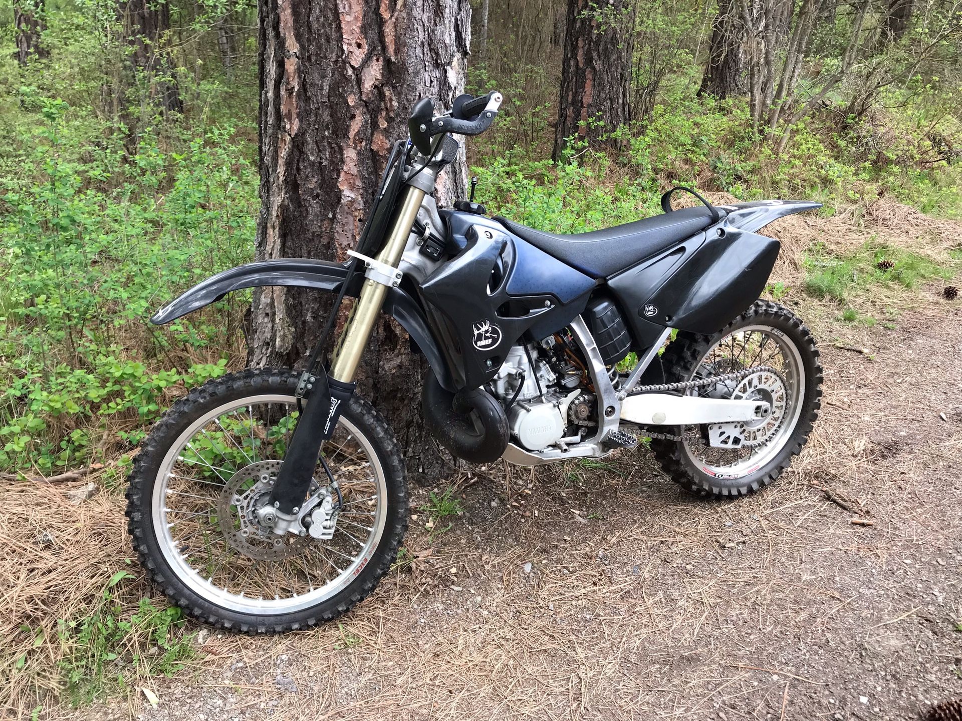2005 Yamaha YZ250 dirt bike- Immaculately maintained like new! for Sale ...