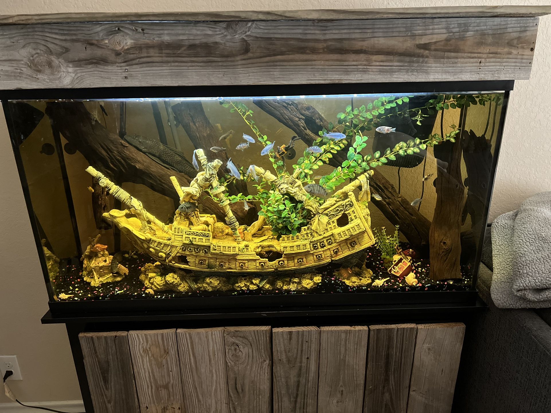 75 Gallon Aquarium Stand And Canopy | ppgbbe.intranet.biologia.ufrj.br