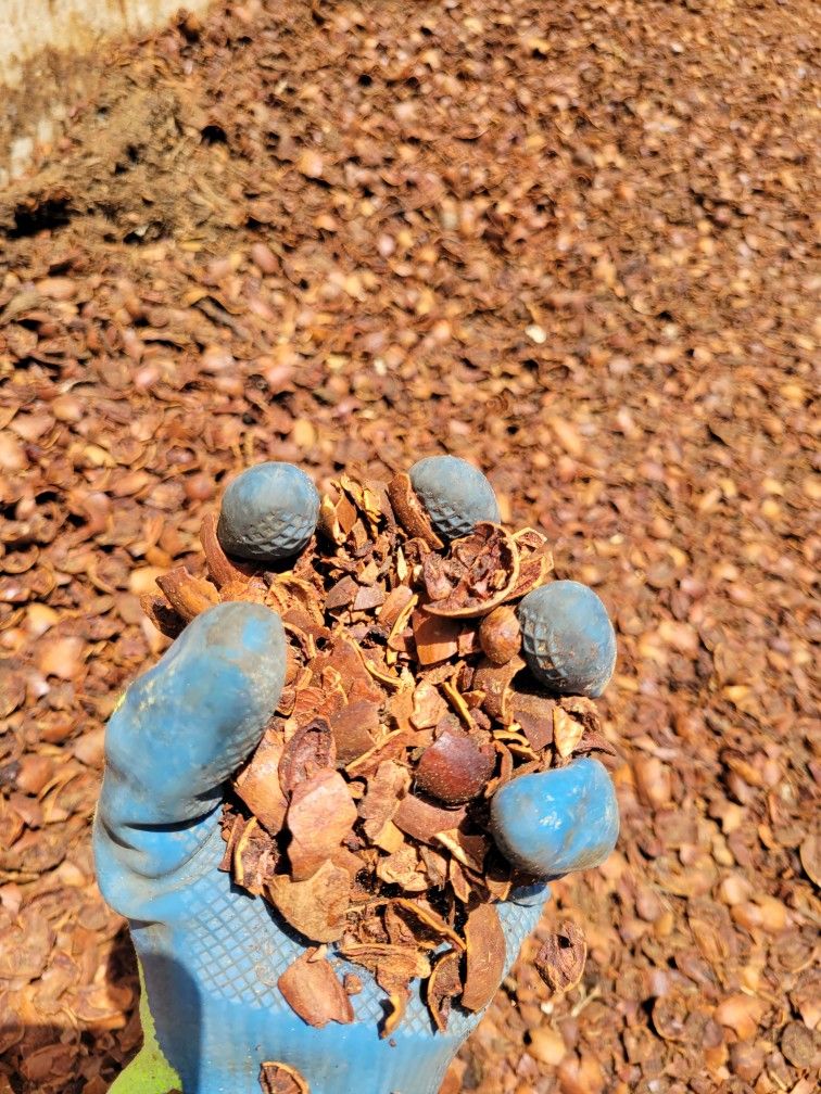 Pecan Shell Mulch for Sale in Dallas, TX - OfferUp