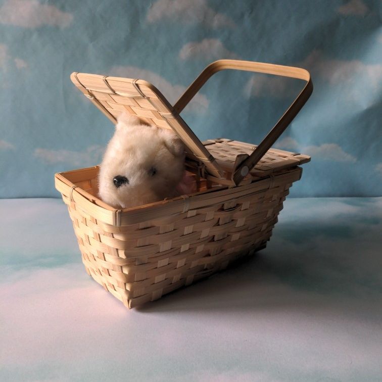 Wizard Of Oz Toto In Basket