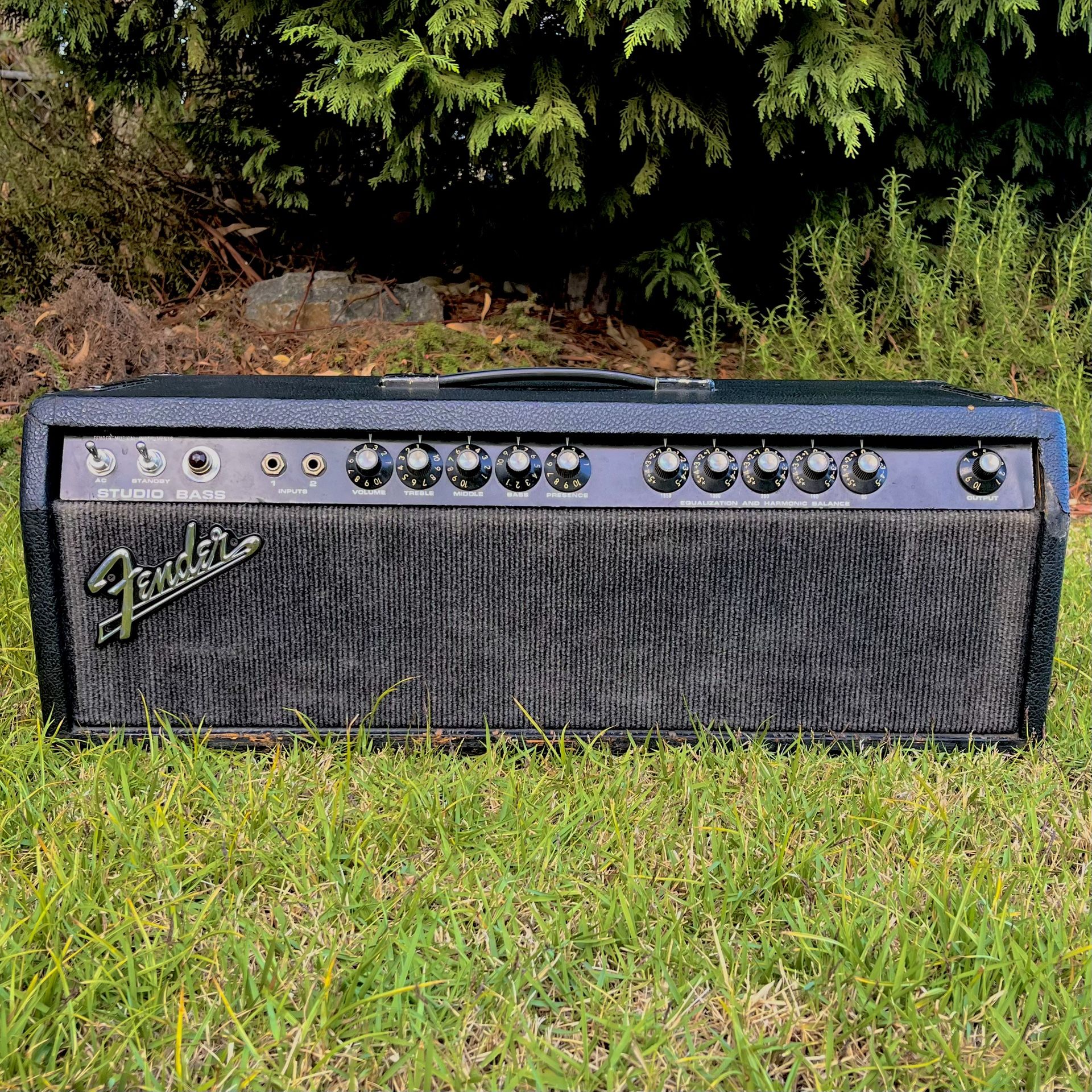 Fender Studio Bass Amp Tube Head (not Ampeg Bassman Rumble Svt Music ...