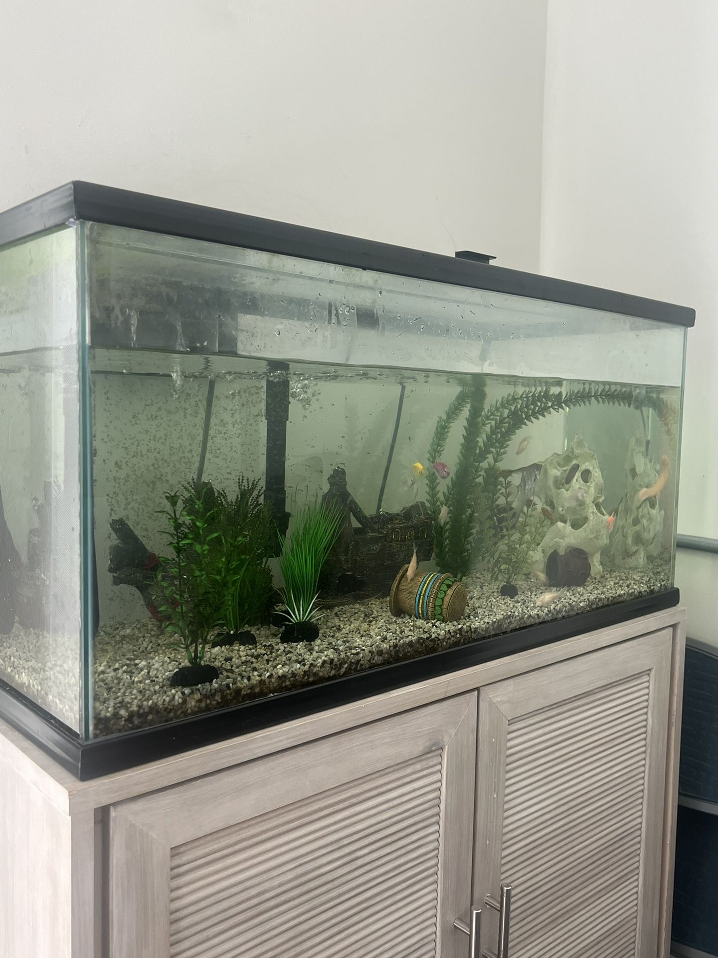 Complete Fish Tank Set Up for Sale in Los Angeles, CA - OfferUp
