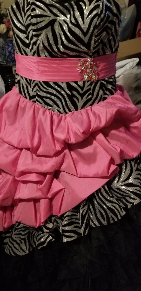 Pink And Black Zebra Quinceanera Dresses