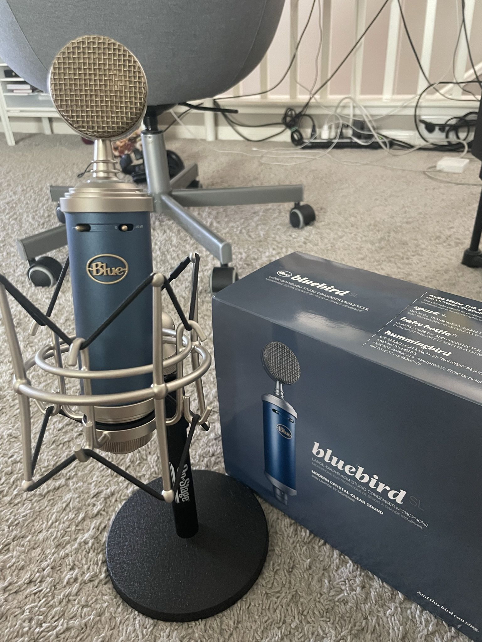 Blue Bird Mic
