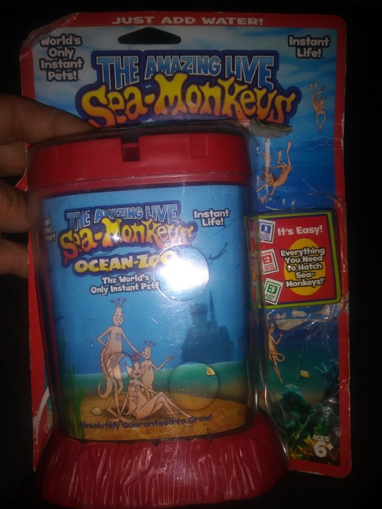 Sea Monkeys Kit