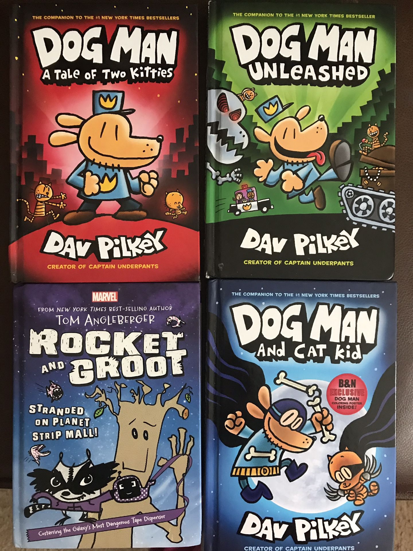 What Is The Third Dog Man Book
