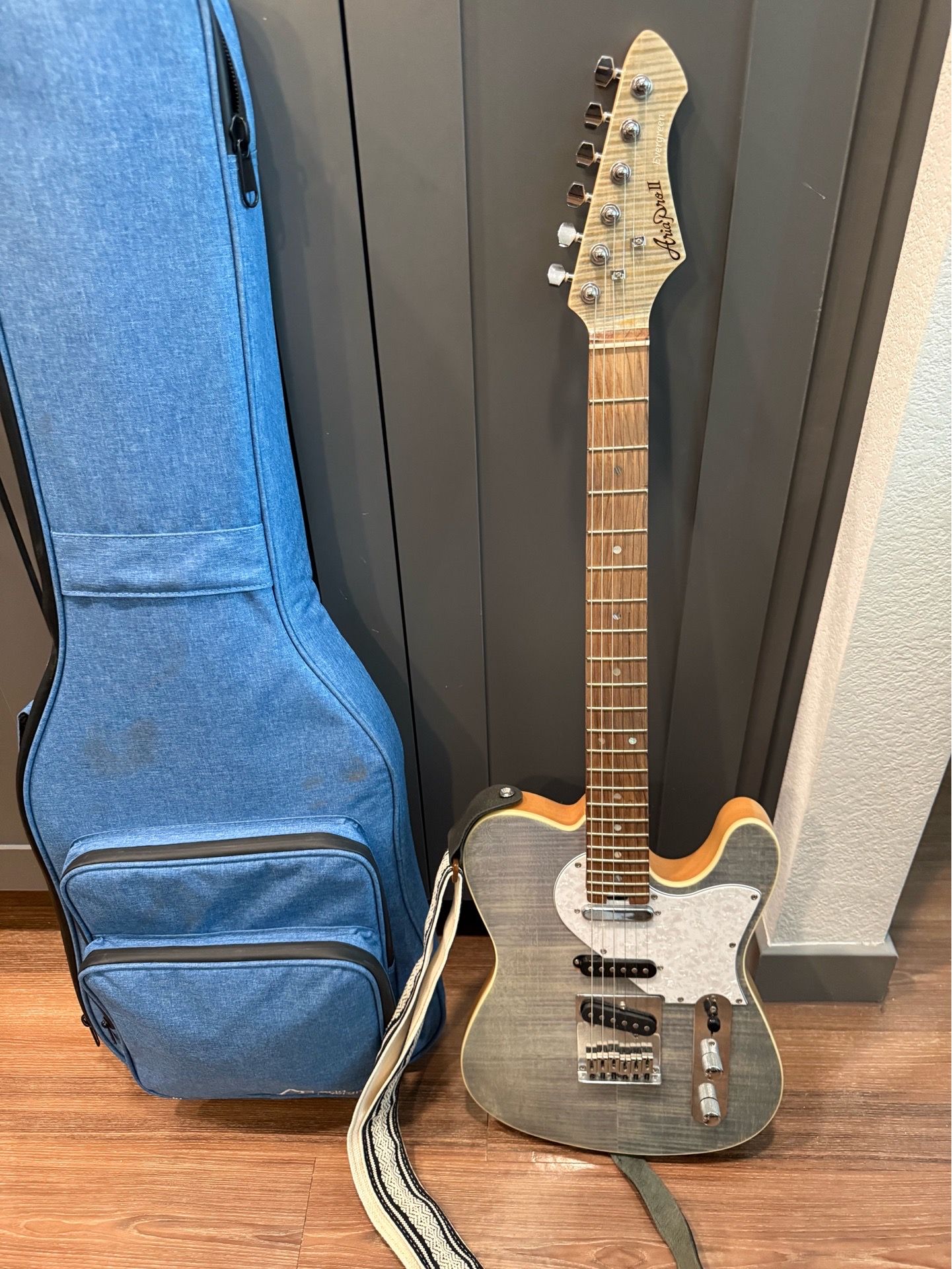 Aria Pro II Evergreen 615 T-Style Electric Guitar Bundle - Upgraded Gig ...