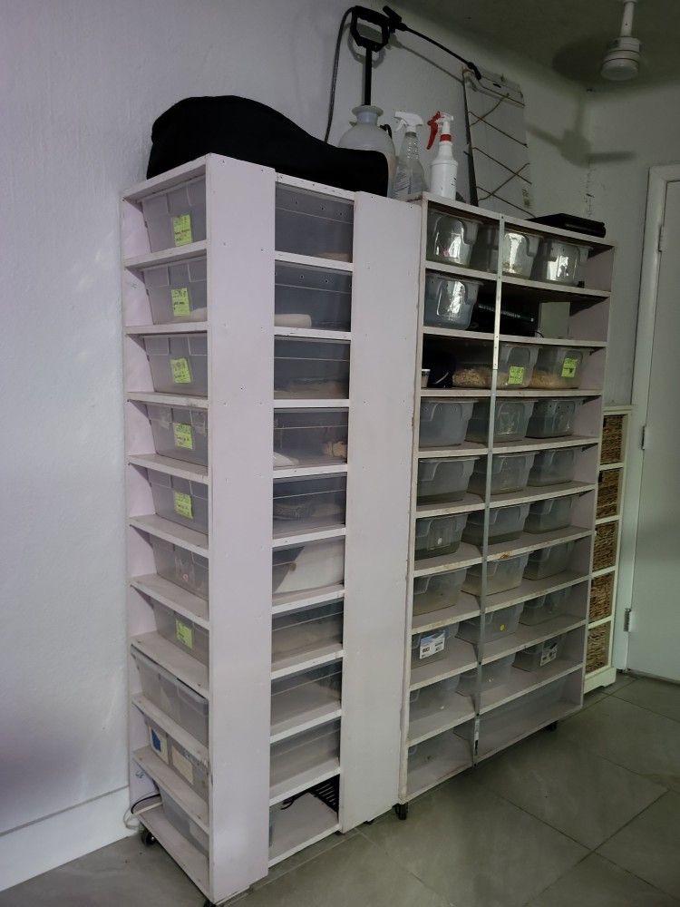 Snake Racks for Sale in Oakland Park, FL - OfferUp