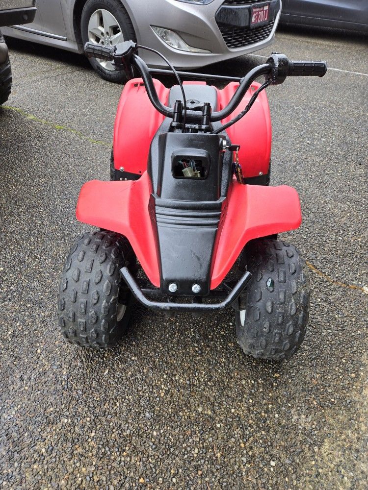 50cc Kazuma Meerkat Quad for Sale in Tacoma, WA - OfferUp
