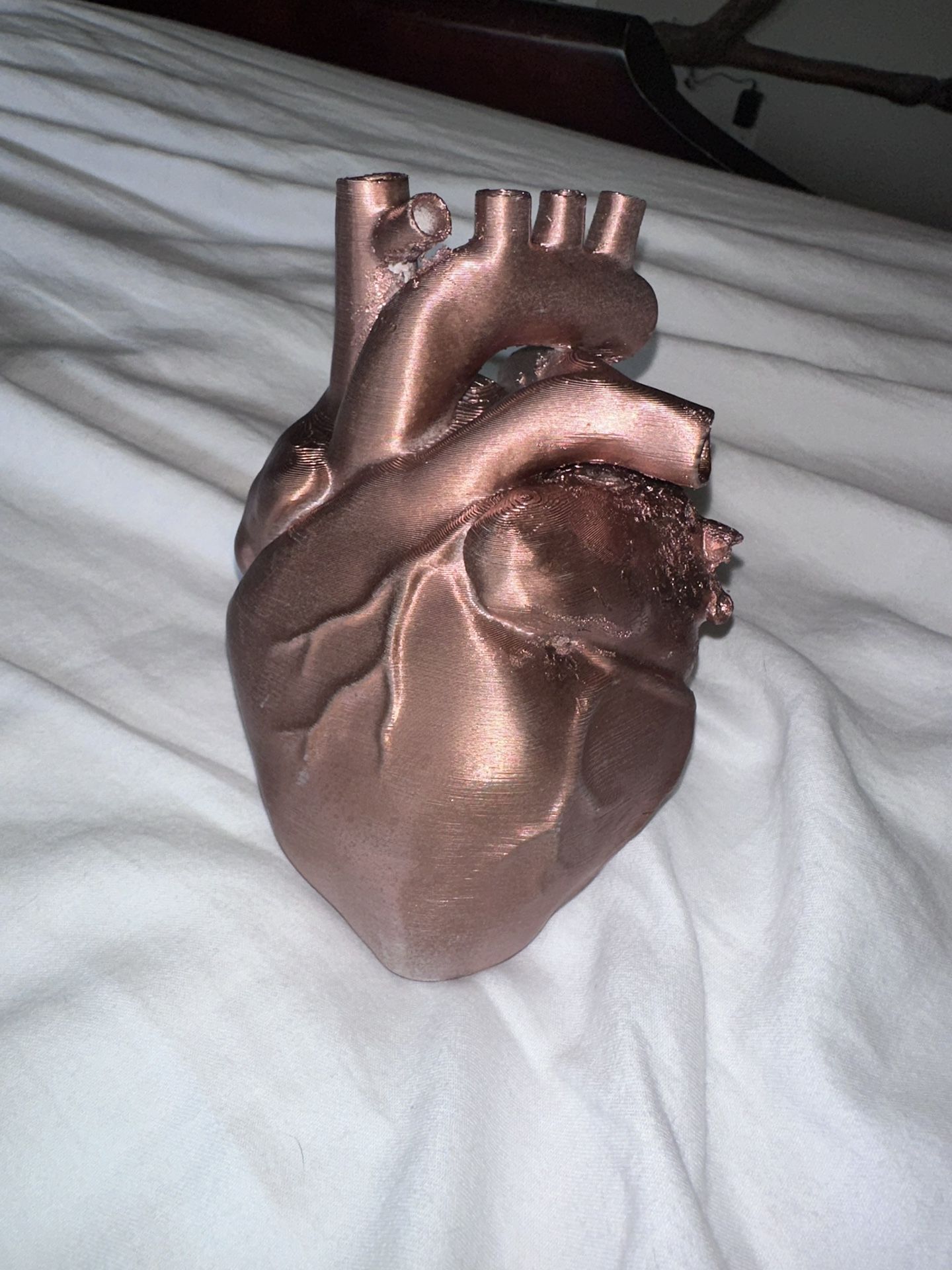 Anatomical Copper Colored Human Heart for Sale in Renton, WA - OfferUp