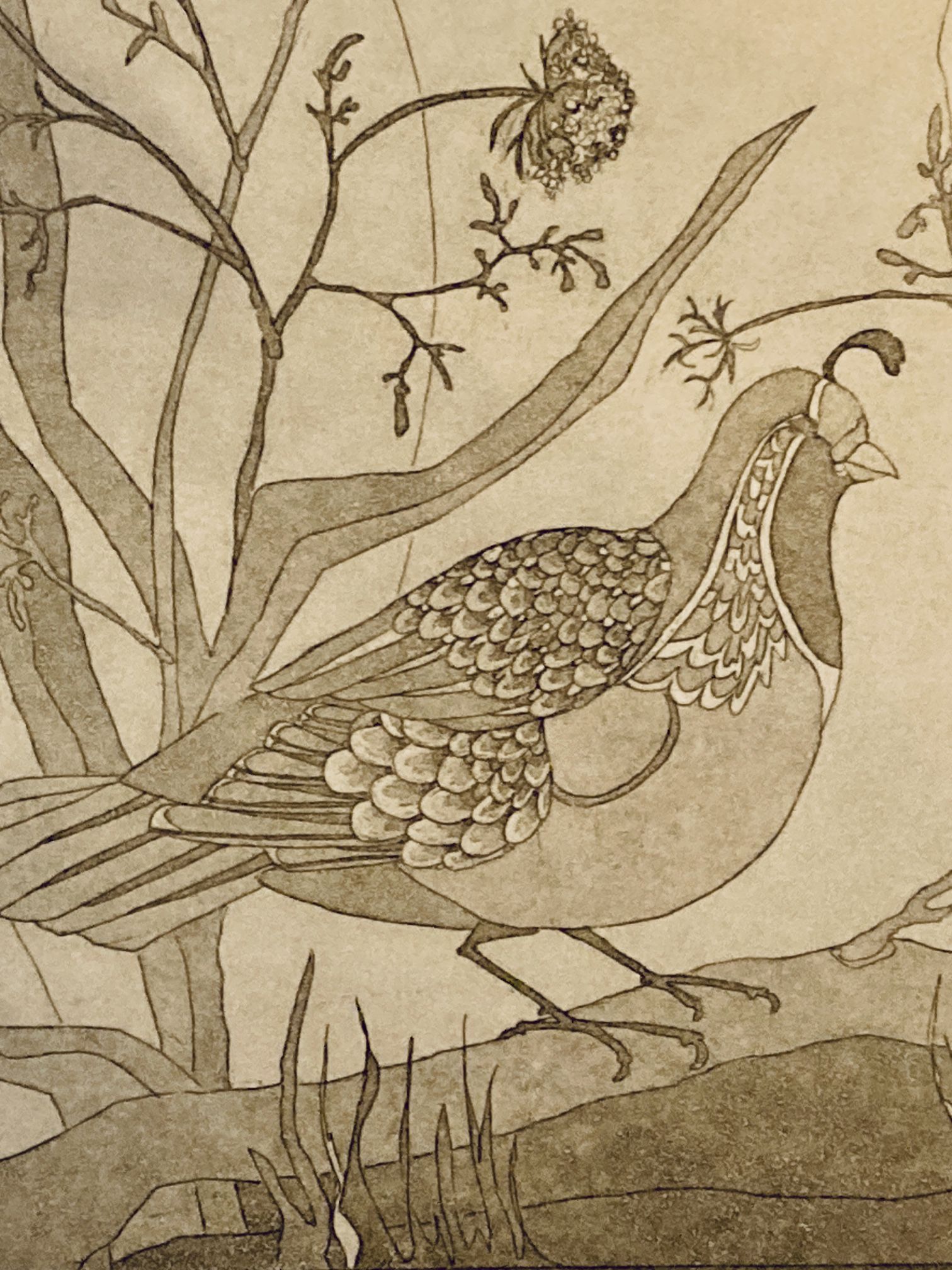 Quail Etching Framed Vintage Jennifer Berringer Signed for Sale in ...