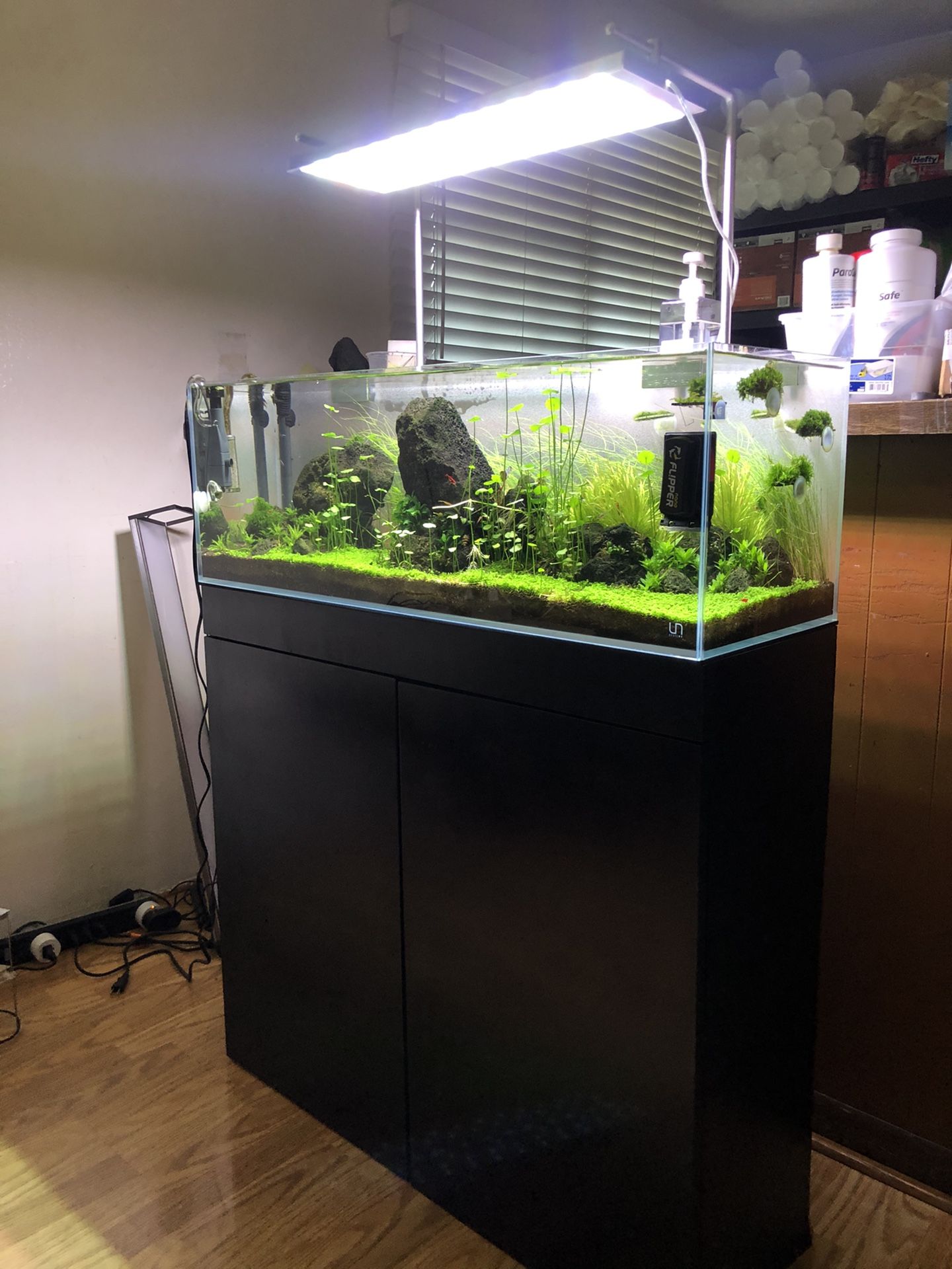 Rimless aquarium UNS 90L for Sale in Hacienda Heights, CA - OfferUp