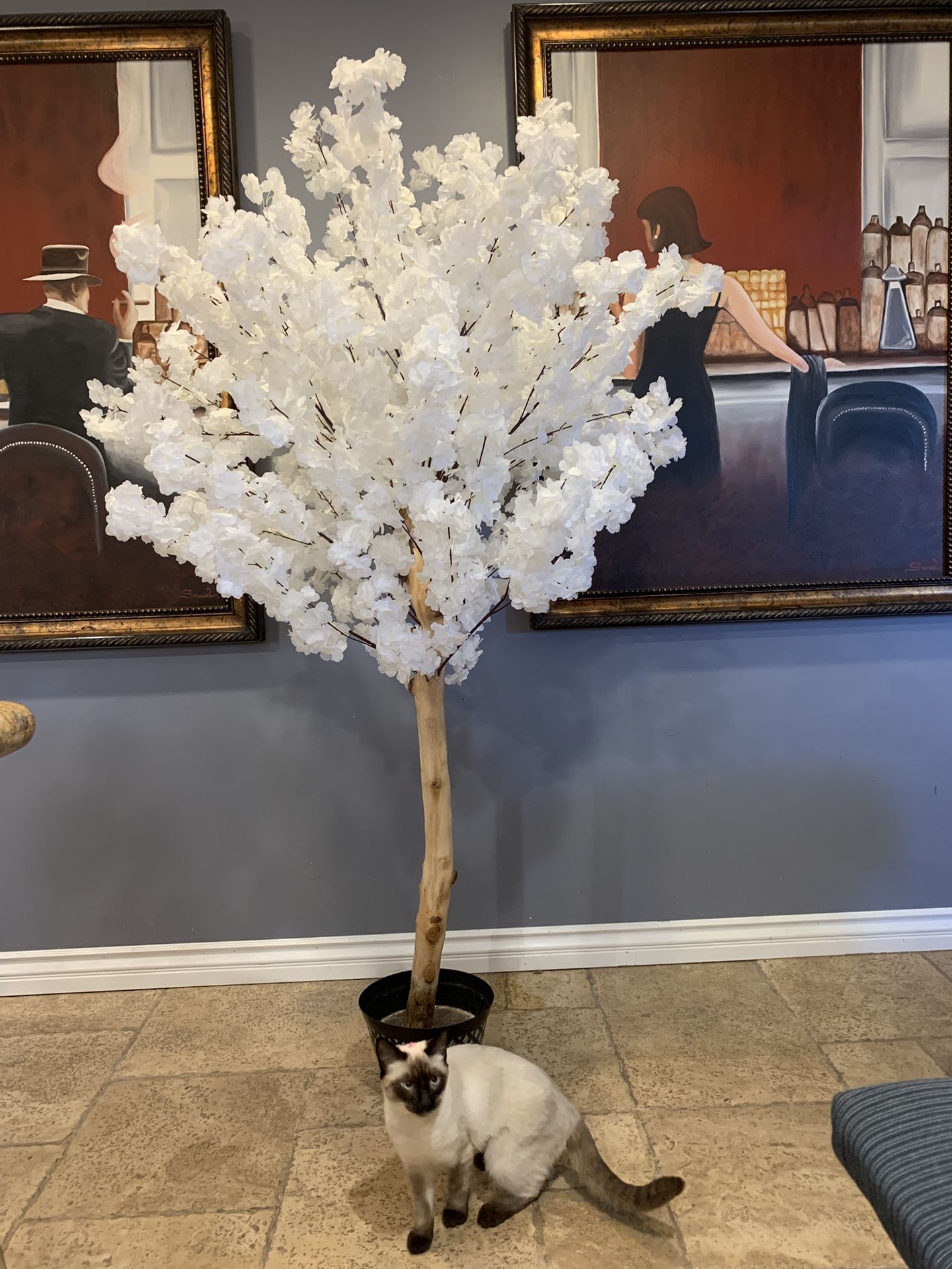 New Cherry Blossom Tree 6Ft Tall $120 for Sale in Rancho Cucamonga, CA ...