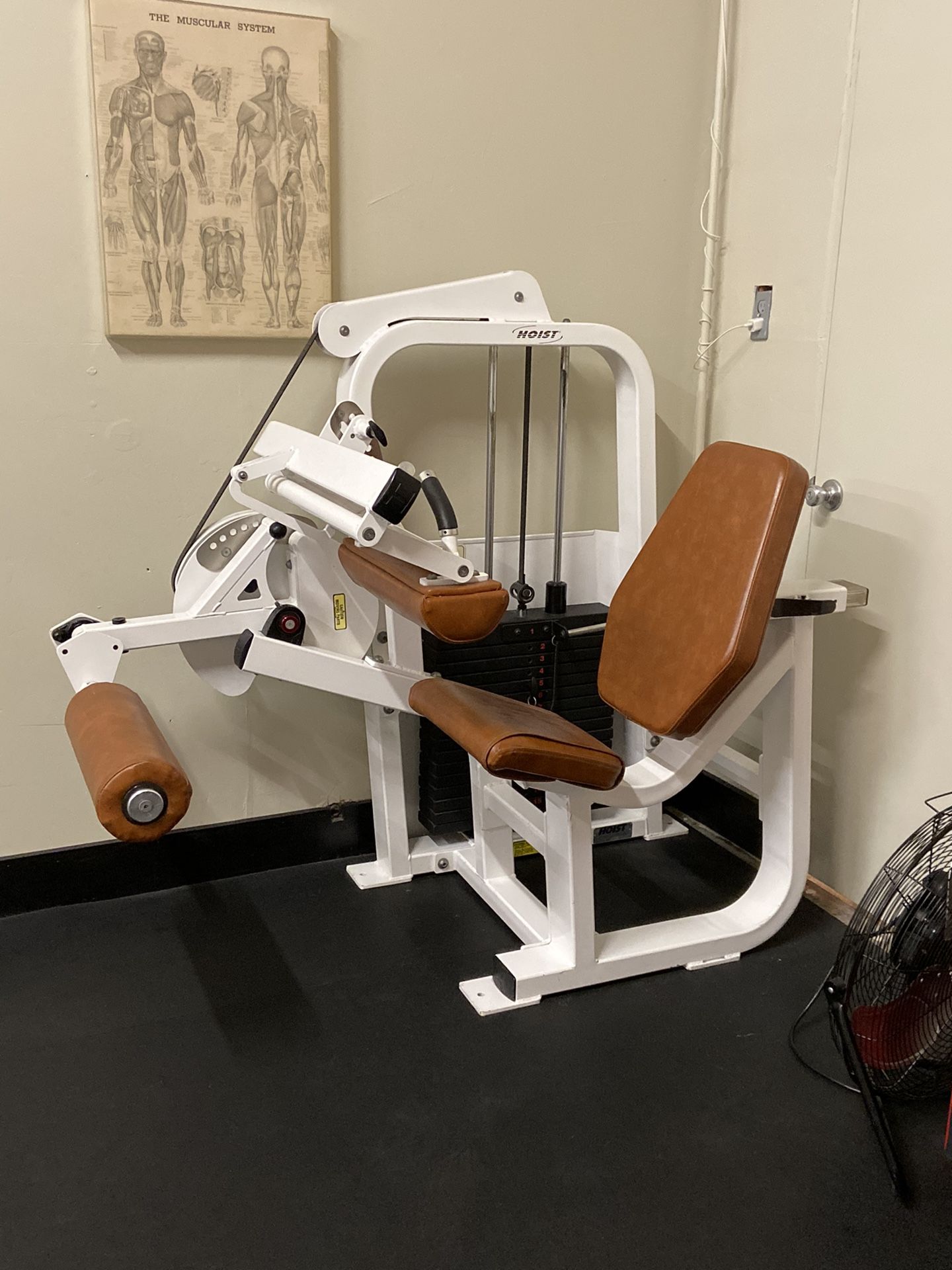 Hamstring Curl Machine by Hoist for Sale in San Diego, CA - OfferUp