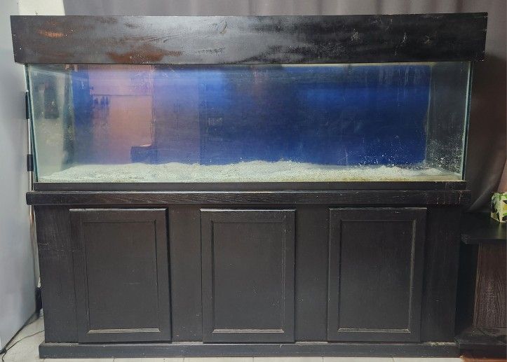 Fish Tank 120 Gallon Acrylic Aquarium for Sale in Phoenix, AZ - OfferUp