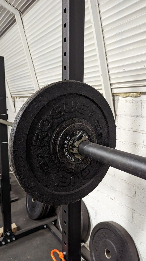 Rogue Squat Rack with Safety Spotter Arms, Ohio Power Bar, 260lb Bumper ...