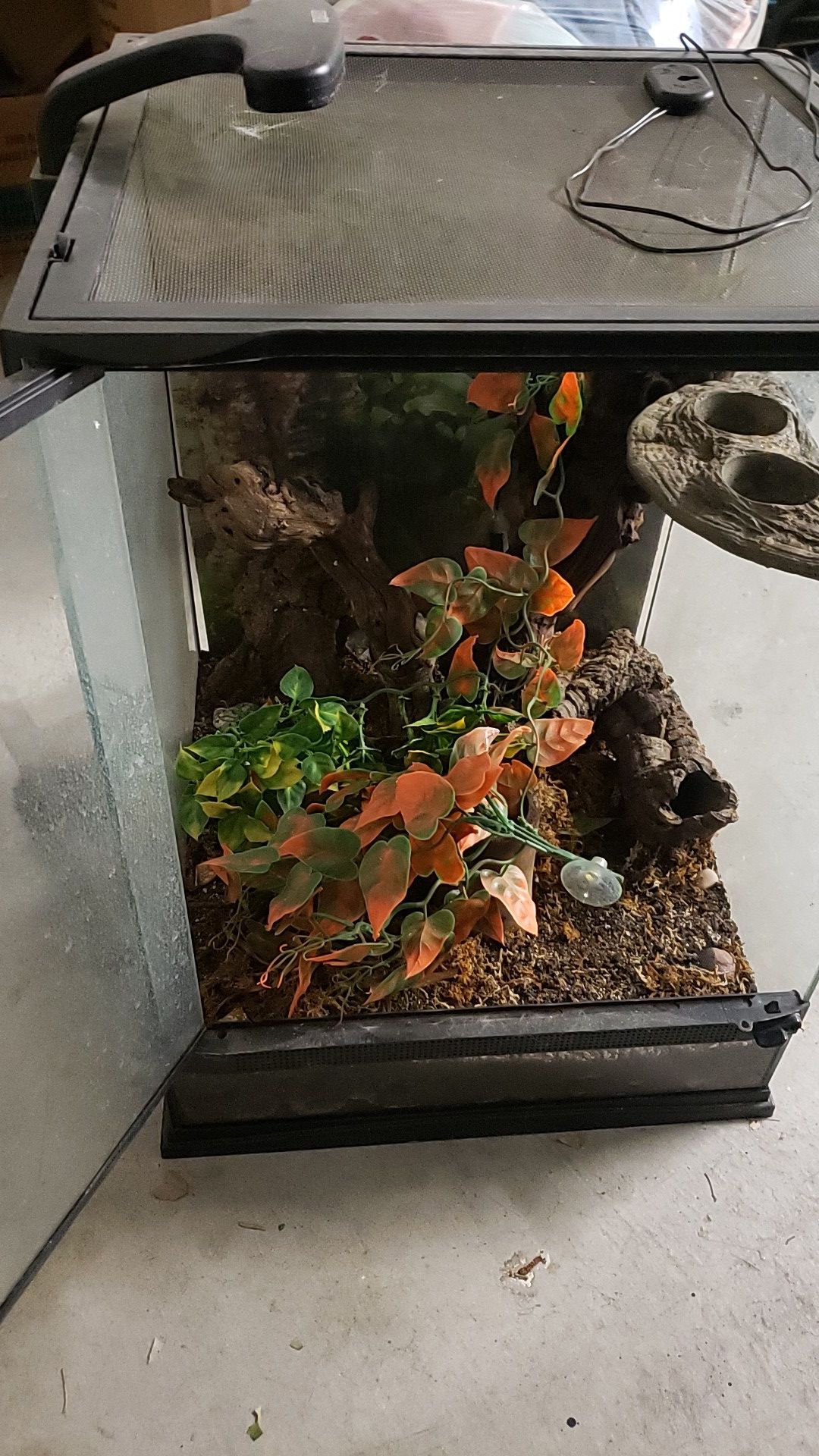 Zoo med 18x18x24 front opening terrarium for Sale in El Mirage, AZ ...