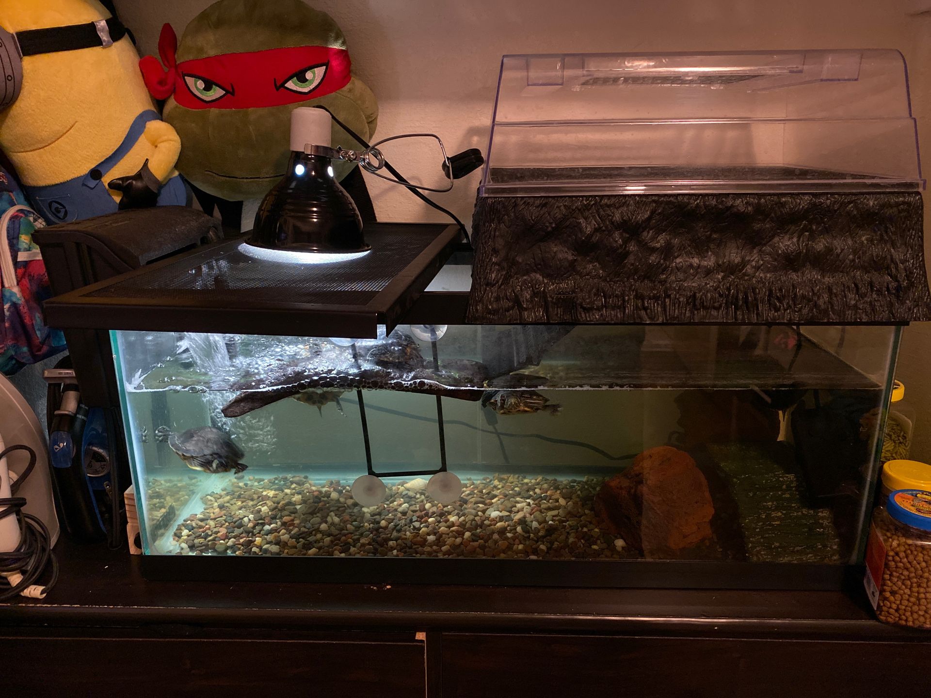 Gallon Turtle Tank