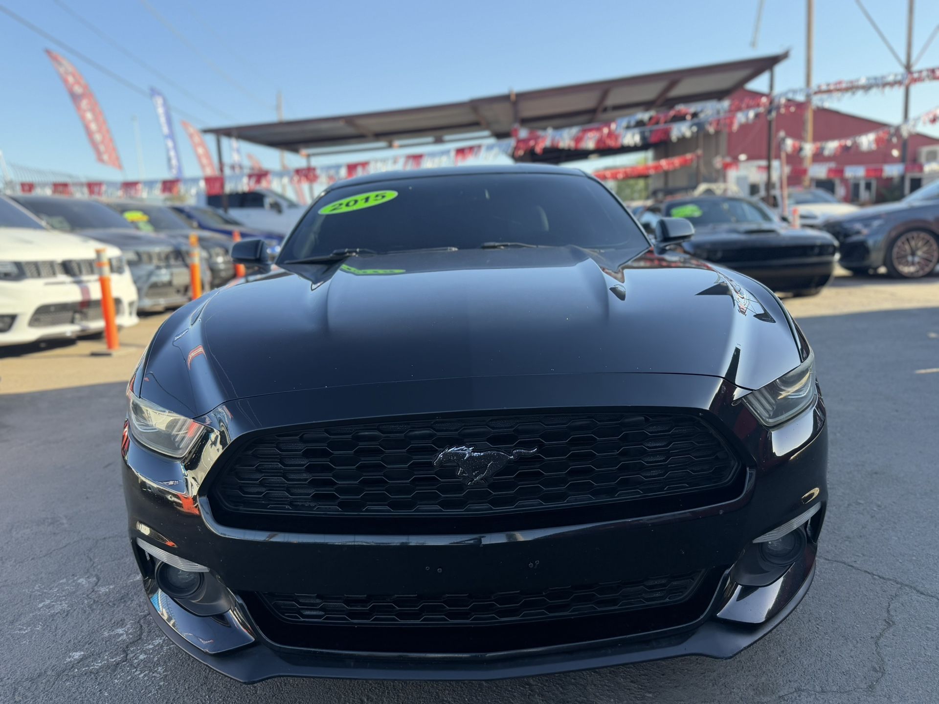 Sitemapcdatahttpsthereferenznetford Mustang For Sale Phoenix