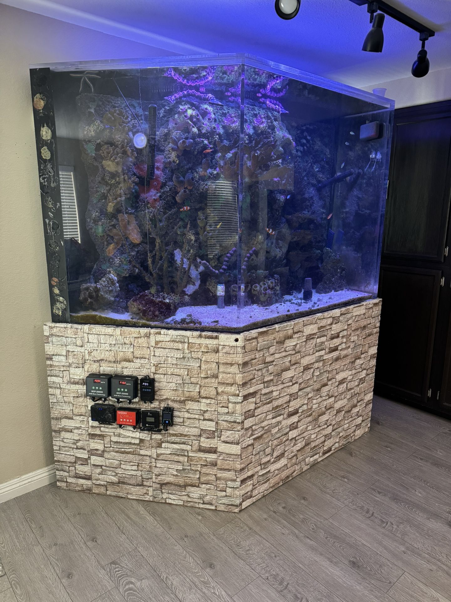 350 Gallon Custom Aquarium for Sale in Las Vegas, NV - OfferUp