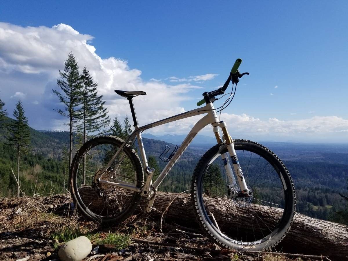 Niner Air 9 29er MTB Mountain Bike for Sale in Seattle, WA - OfferUp