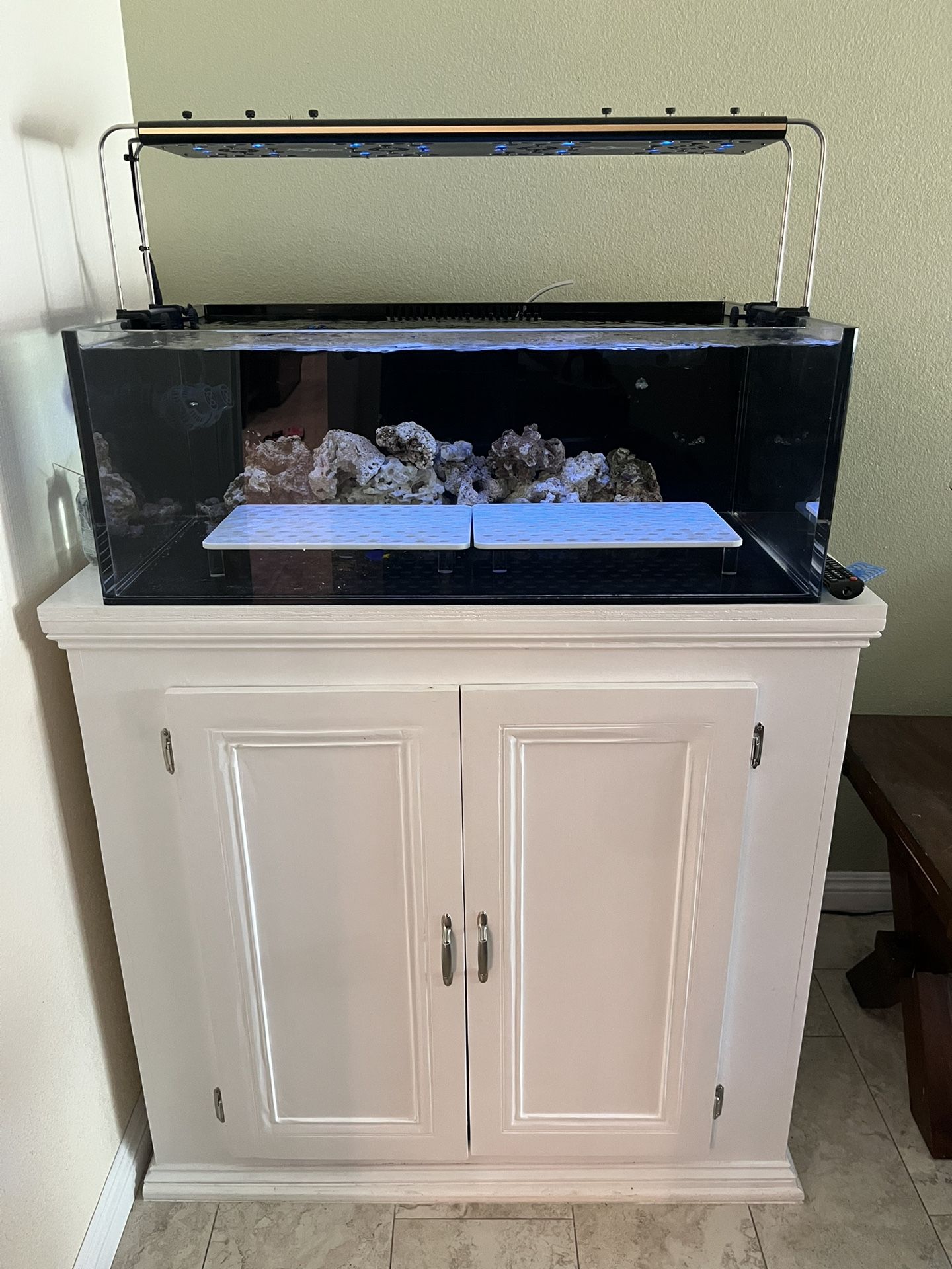 48 Gallon Frag Tank Complete Setup for Sale in Riverside, CA - OfferUp