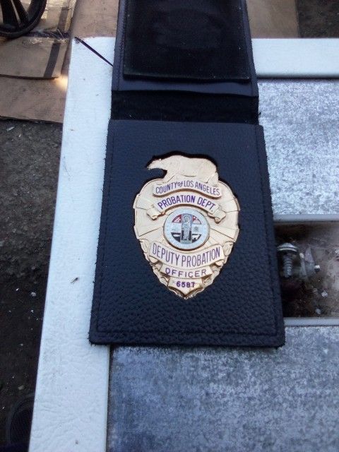 Probation Badges