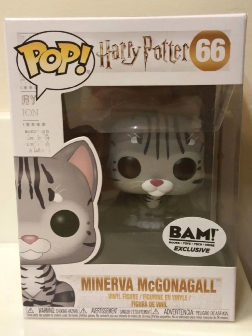 Professor Mcgonagall Cat