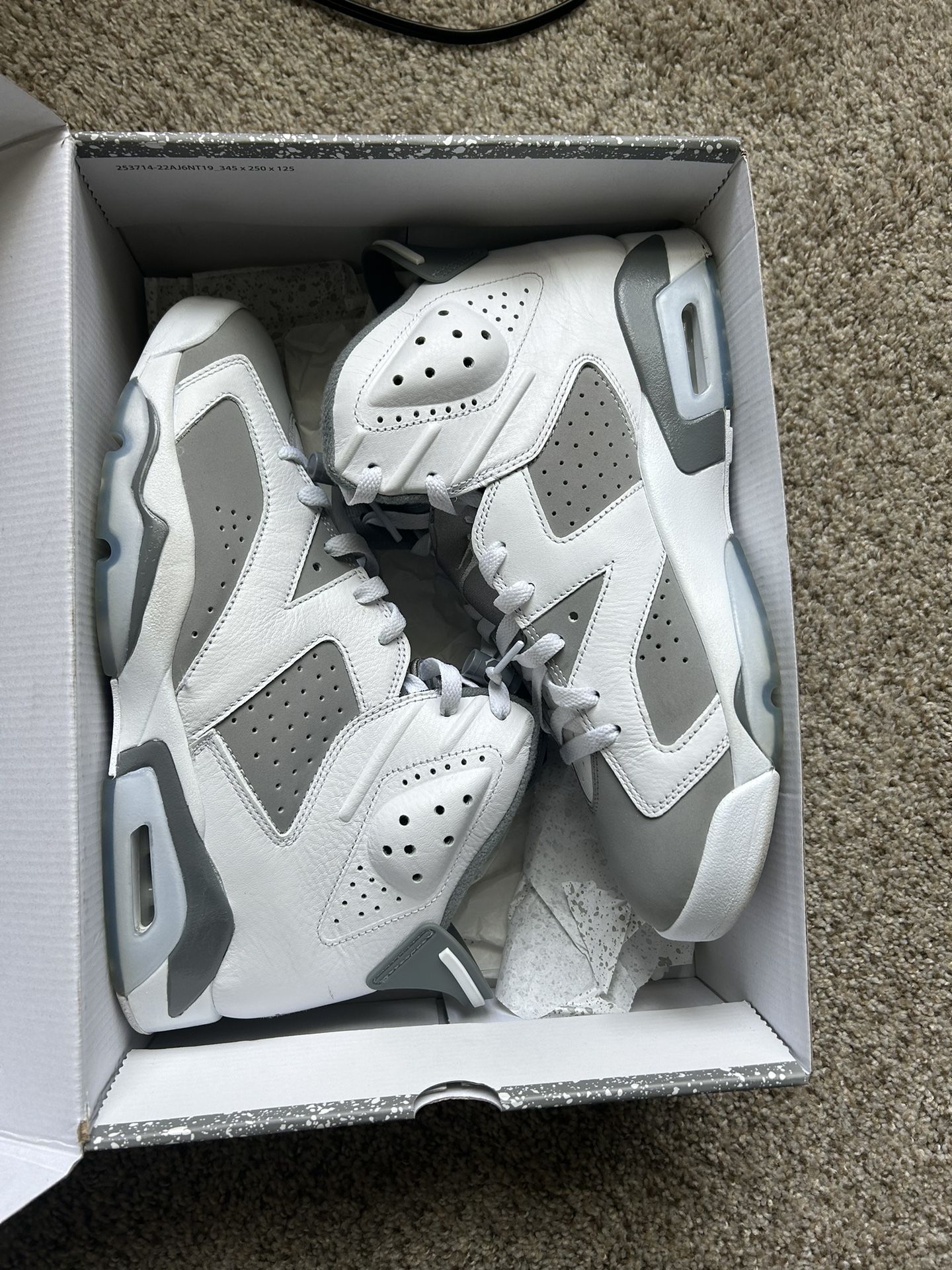 Jordan 6 Cool Grey for Sale in Greensboro, NC - OfferUp