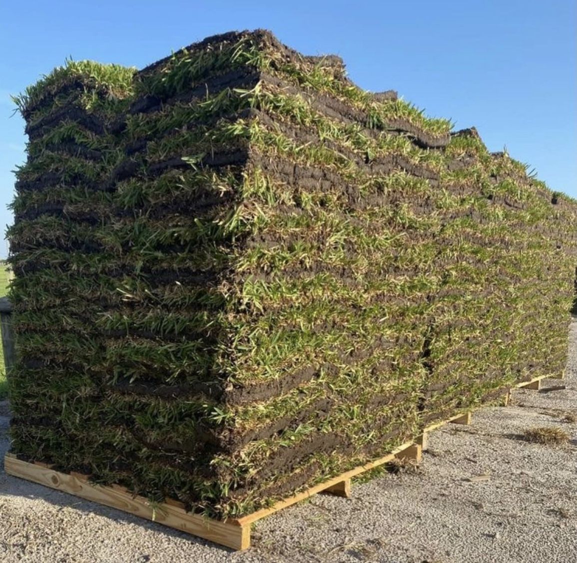 Sod, Fresh sod cut daily for Sale in Thonotosassa, FL - OfferUp