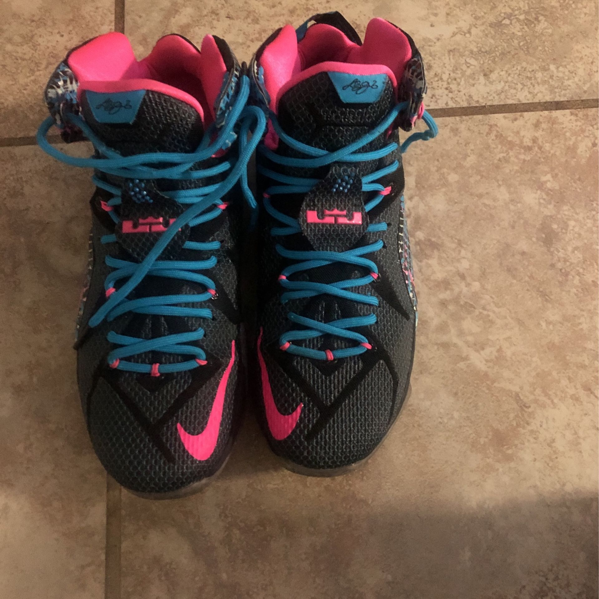 Lebron 12 Chromosomes