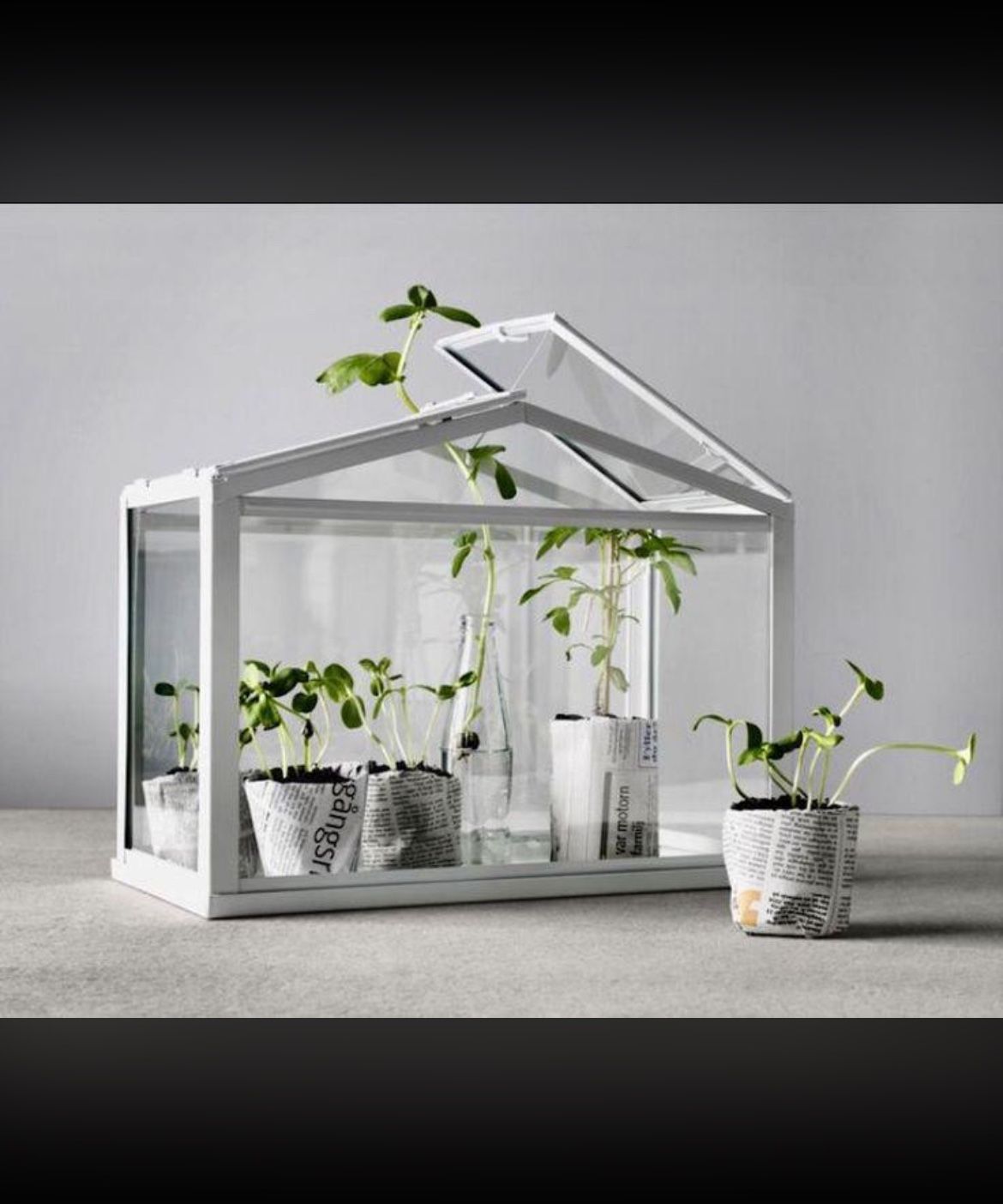 Ikea Gewachshaus Socker