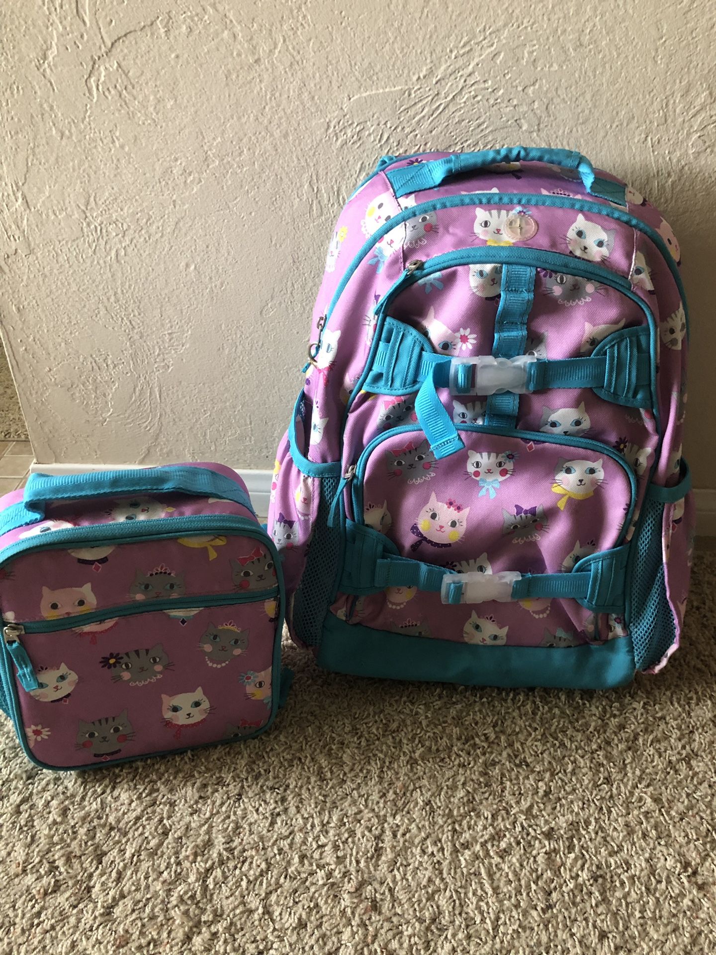 Pottery Barn Kids McKenzie Backpack with matching lunch box for Sale in ...