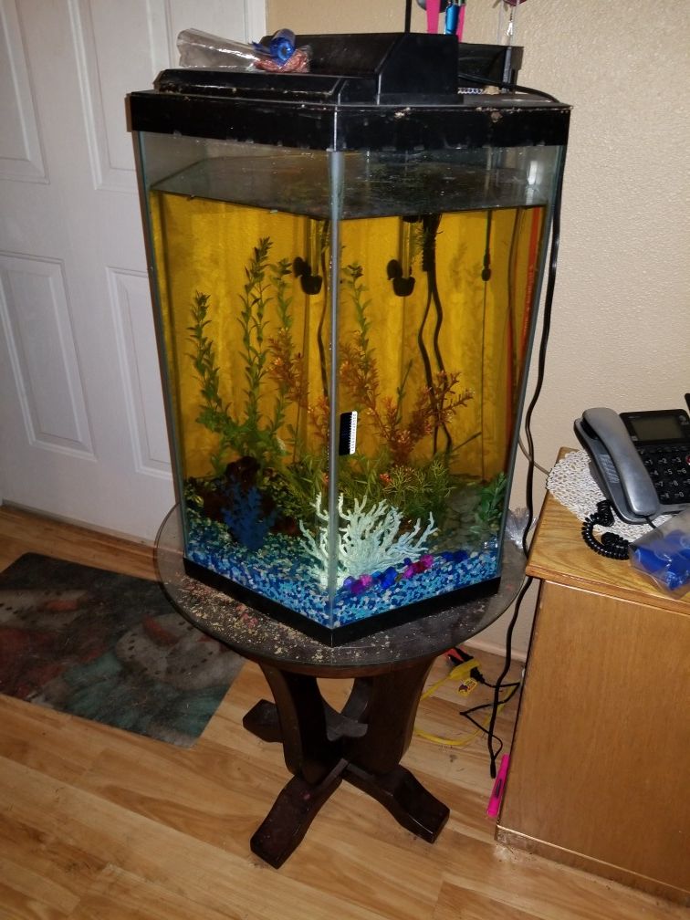 30 gallon octagon fish tank for Sale in Marysville, WA - OfferUp