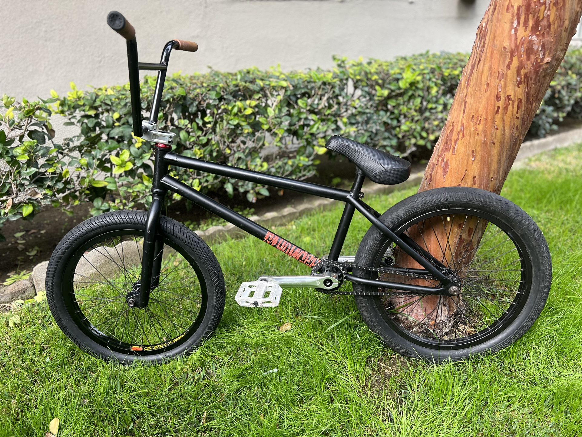 Stranger Bmx GG (andy Garcia Signature Frame) Custom Bmx Bike Odyssey ...