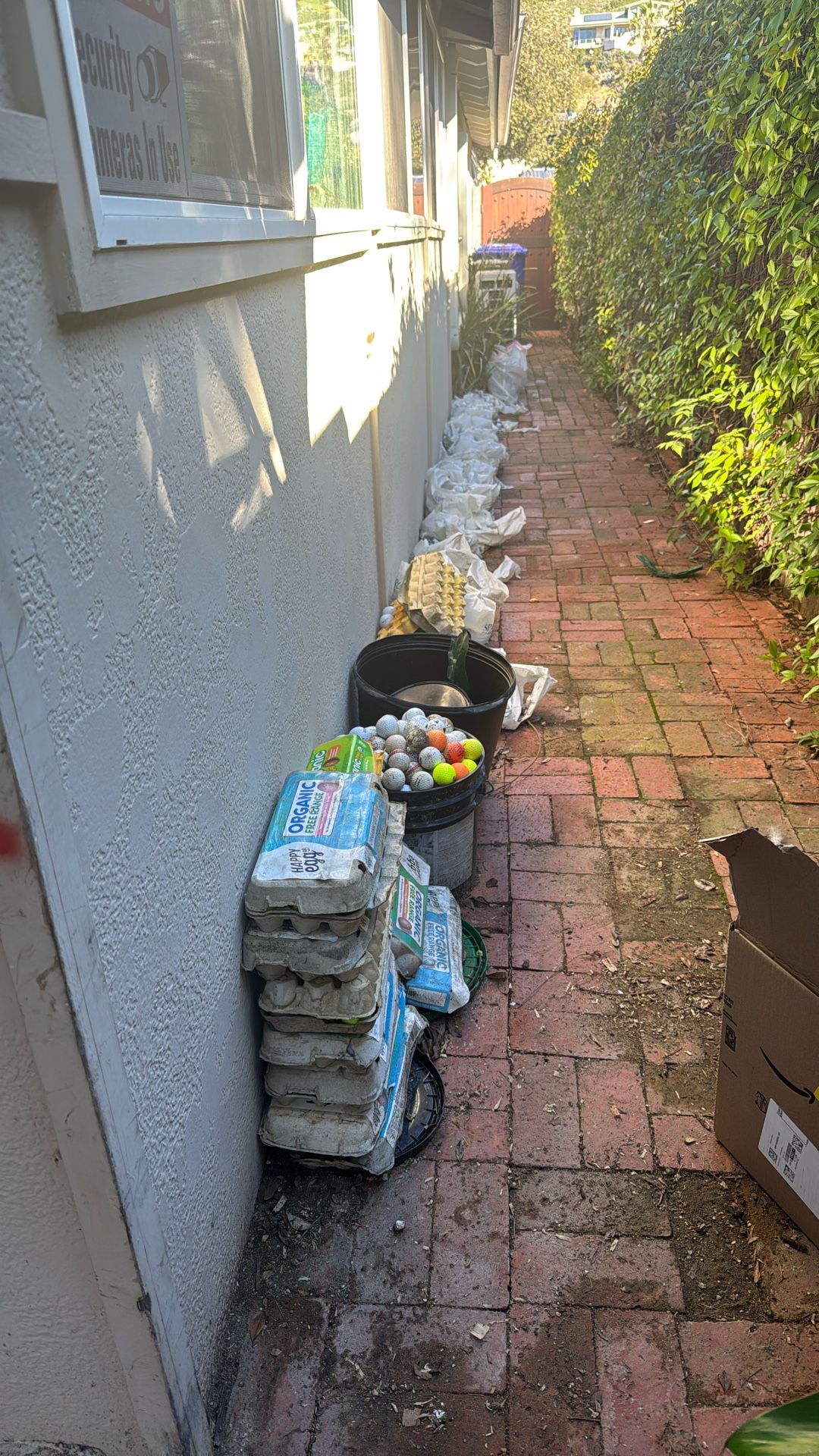 Thousands Of Negotiable Golf Balls for Sale in San Diego, CA - OfferUp