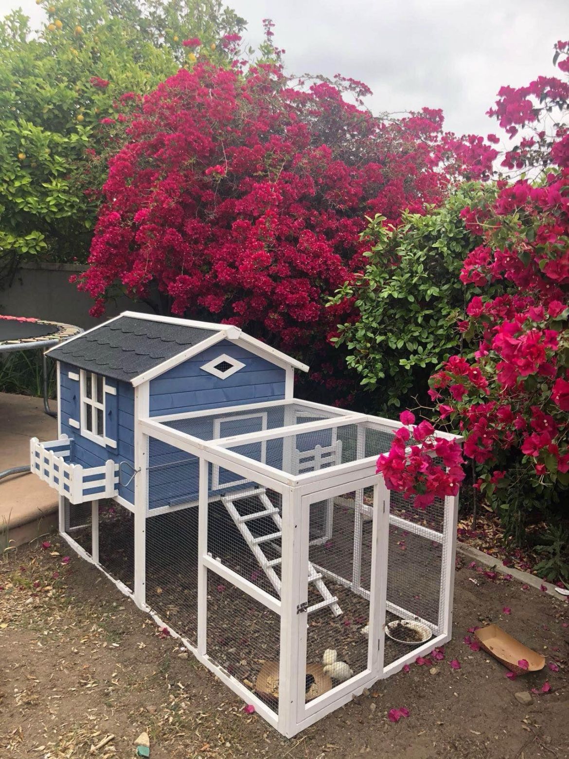 Garden Window Large Chicken Coop Chook Pen Cage House Predator Proof ...