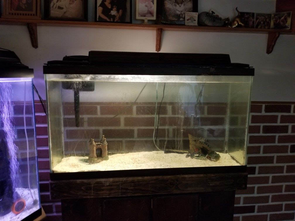 33 Gallon Aquarium for Sale in Philadelphia, PA - OfferUp