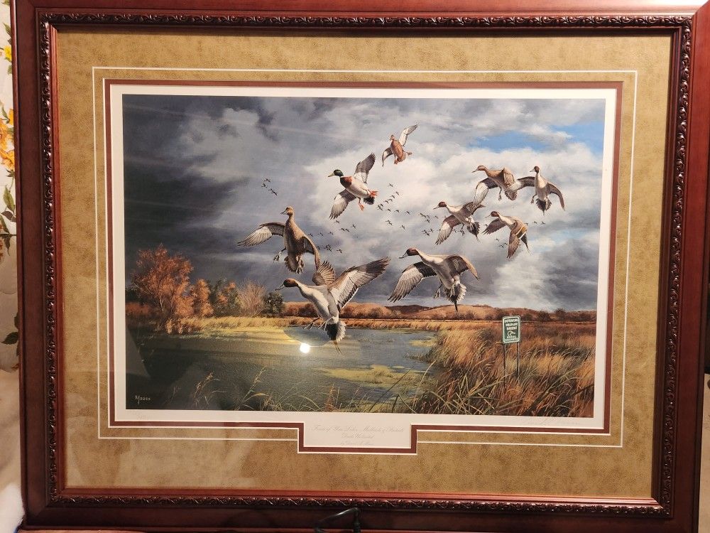 Ducks Unlimited Art Contest