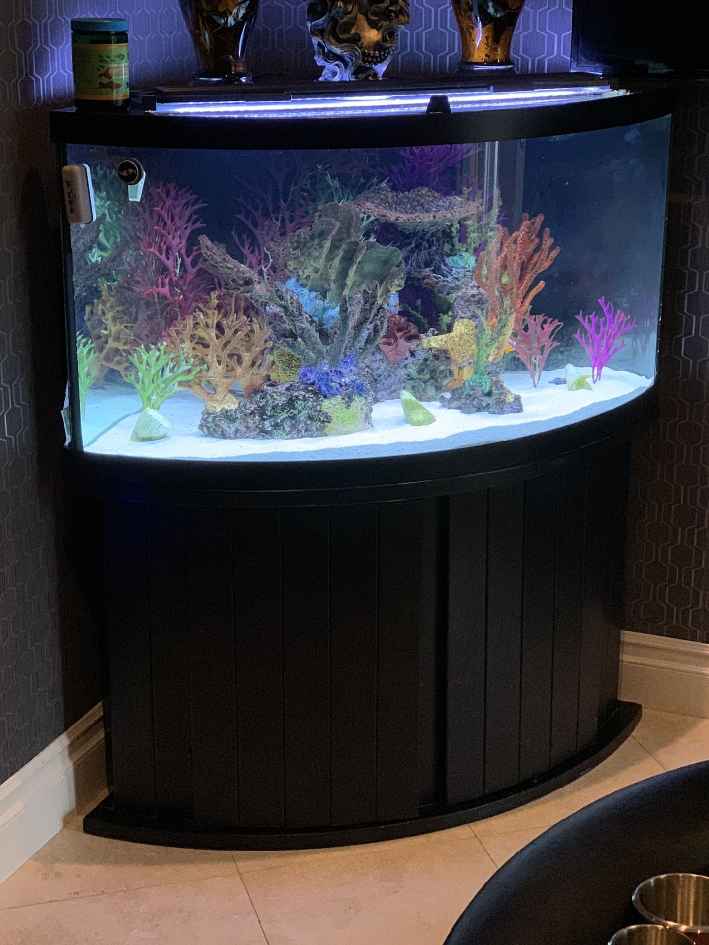 100 GALLON GLASS CORNER AQUARIUM for Sale in Calabasas, CA - OfferUp