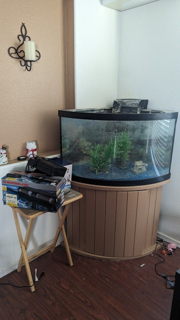 Corner Fish Tank for Sale in Sun City, AZ - OfferUp