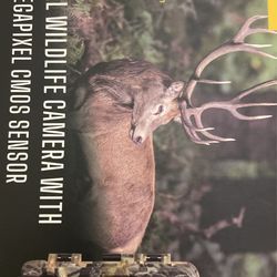 Deer Motion Sensor Camera