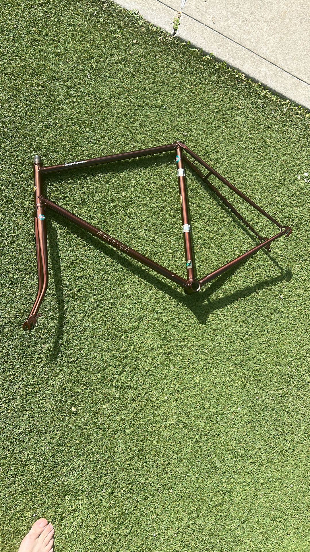 Raleigh Super Course Carlton Painted By Allan Wanta BEAUTIFUL BIKE for ...