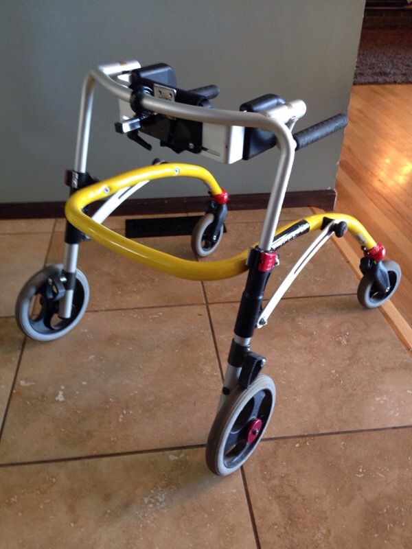 Crocodile Gait Trainer Pediatric Posterior Walker, Snug Seat Crocodile ...