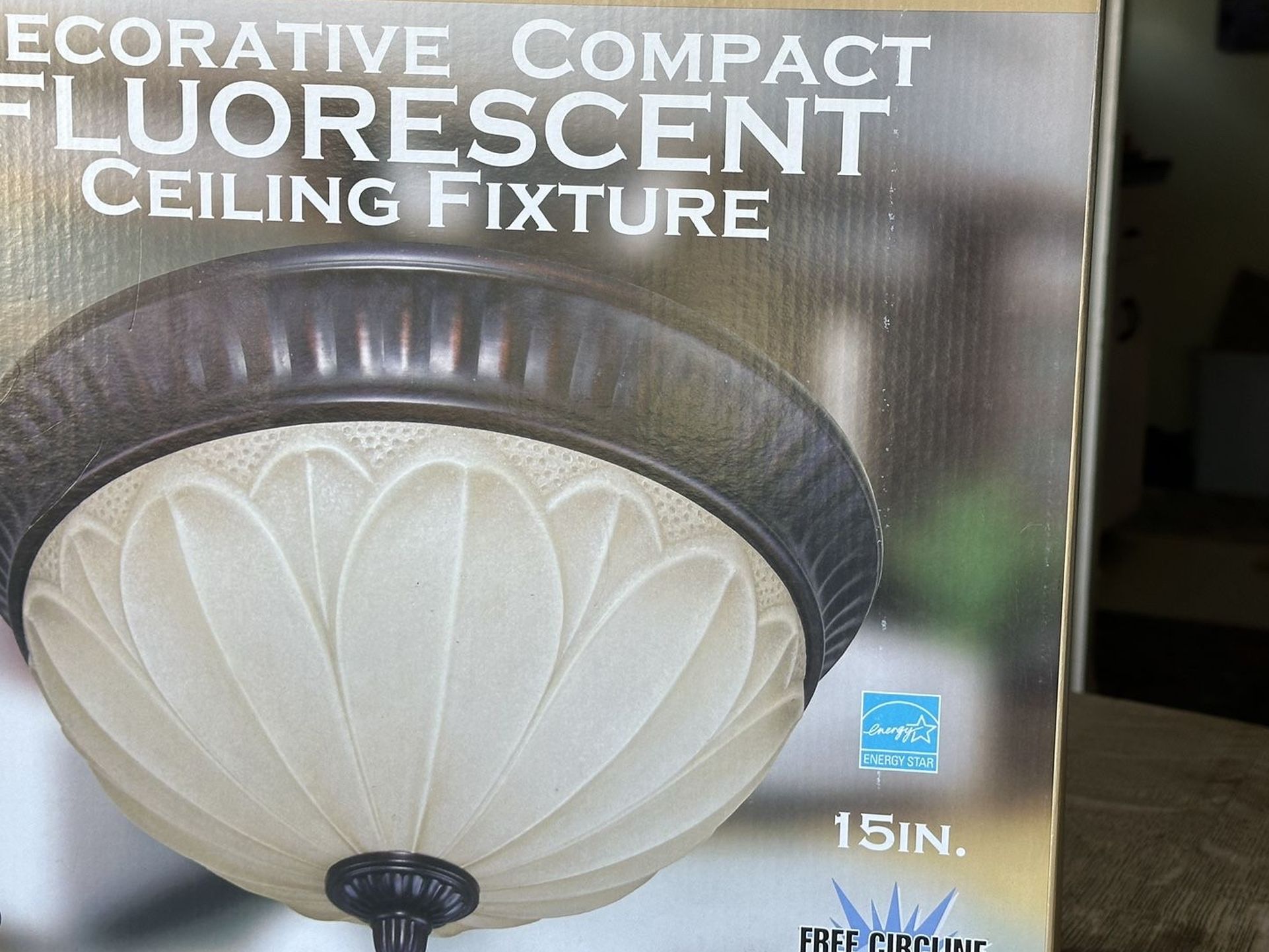 Ceiling Light Fixture for Sale in Tacoma, WA - OfferUp