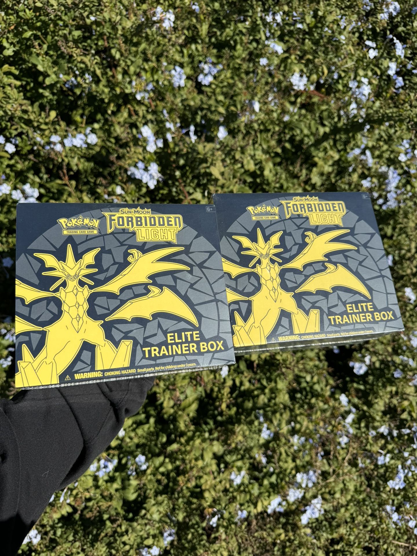 Pokemon Sun & Moon Forbidden Light Elite Trainer Box ETB for Sale in ...