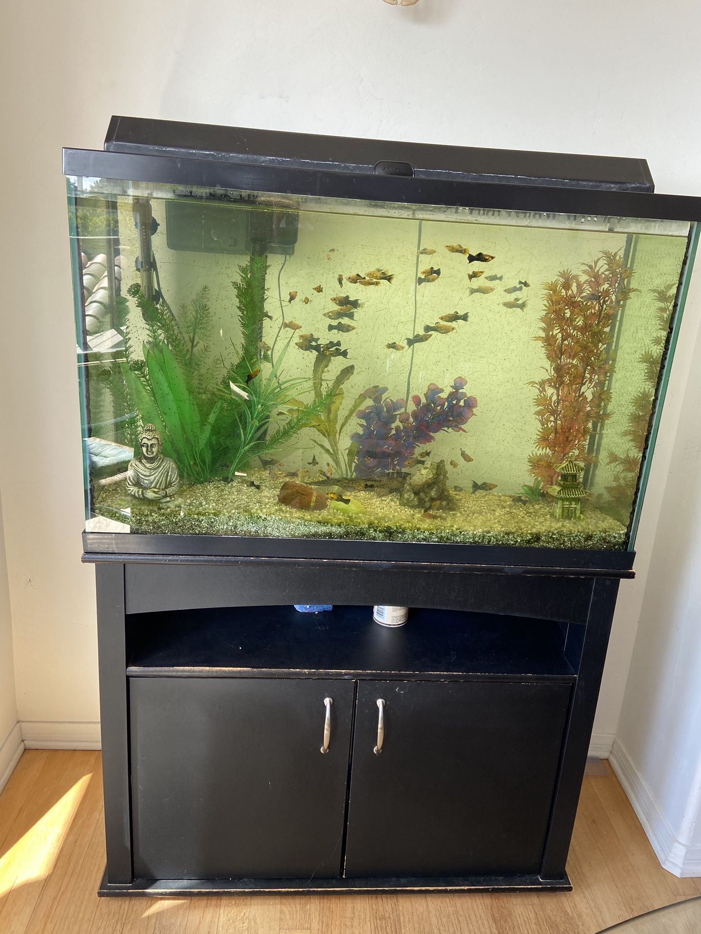 45 Gallon Fish Tank With Very Nice Stand, Fish, And All The Accessories ...