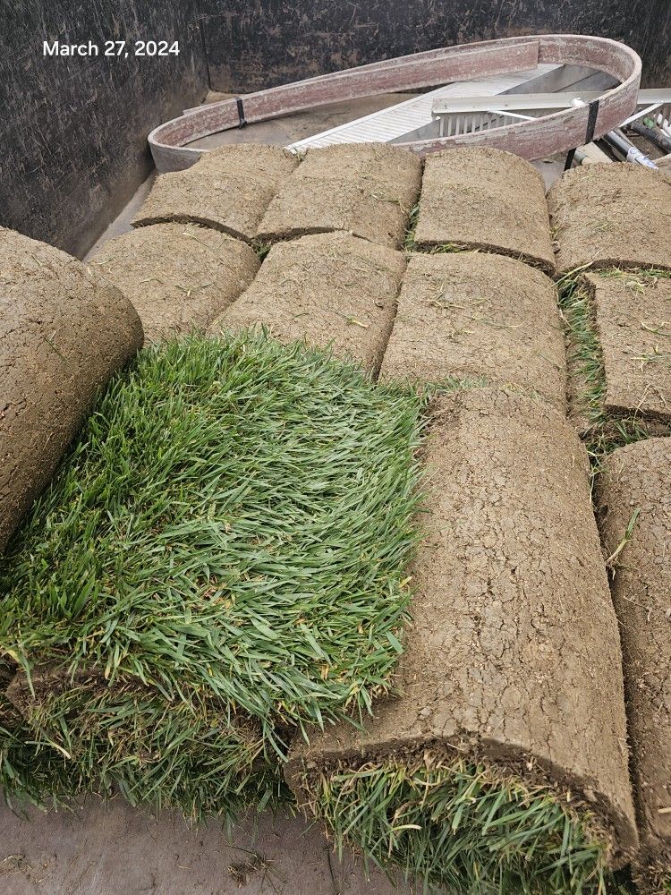 Tall Fescue Grass Sod for Sale in Modesto, CA - OfferUp