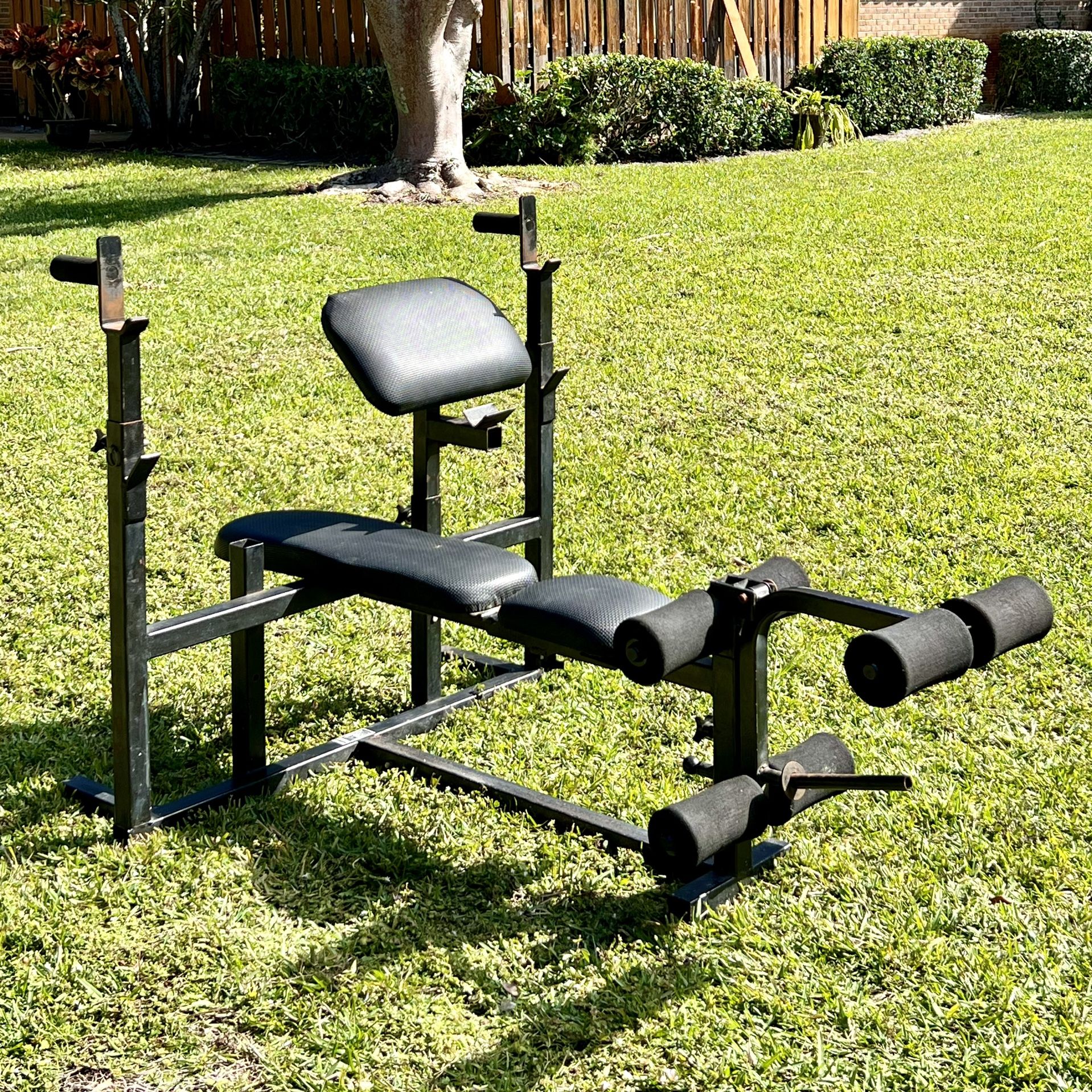 Bio-Dyne Olympic Weight Bench with Leg Curl, Preacher Curl and Dip ...
