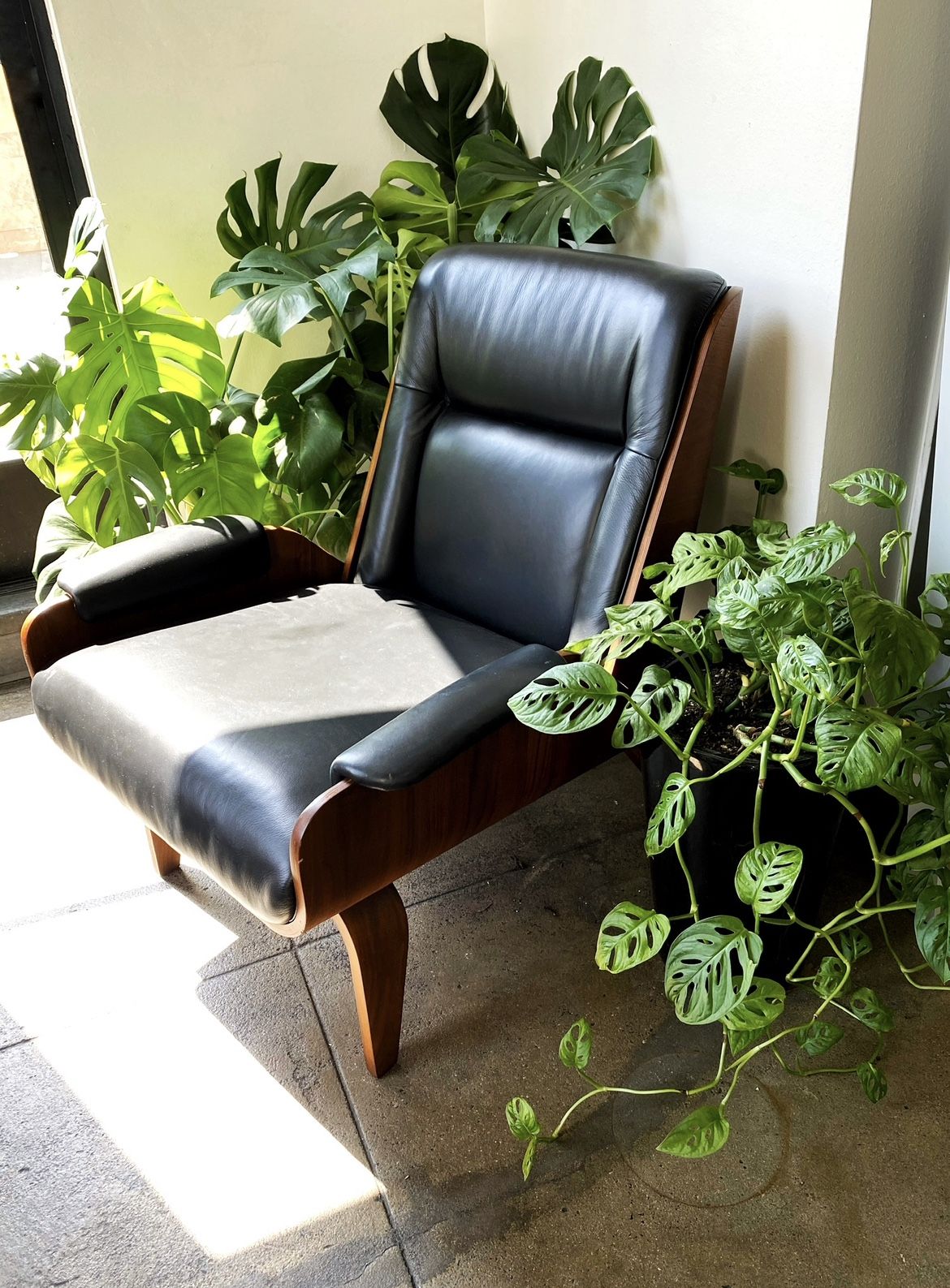 West Elm Paulo Bent Olay Leather Chair for Sale in Los Angeles, CA ...